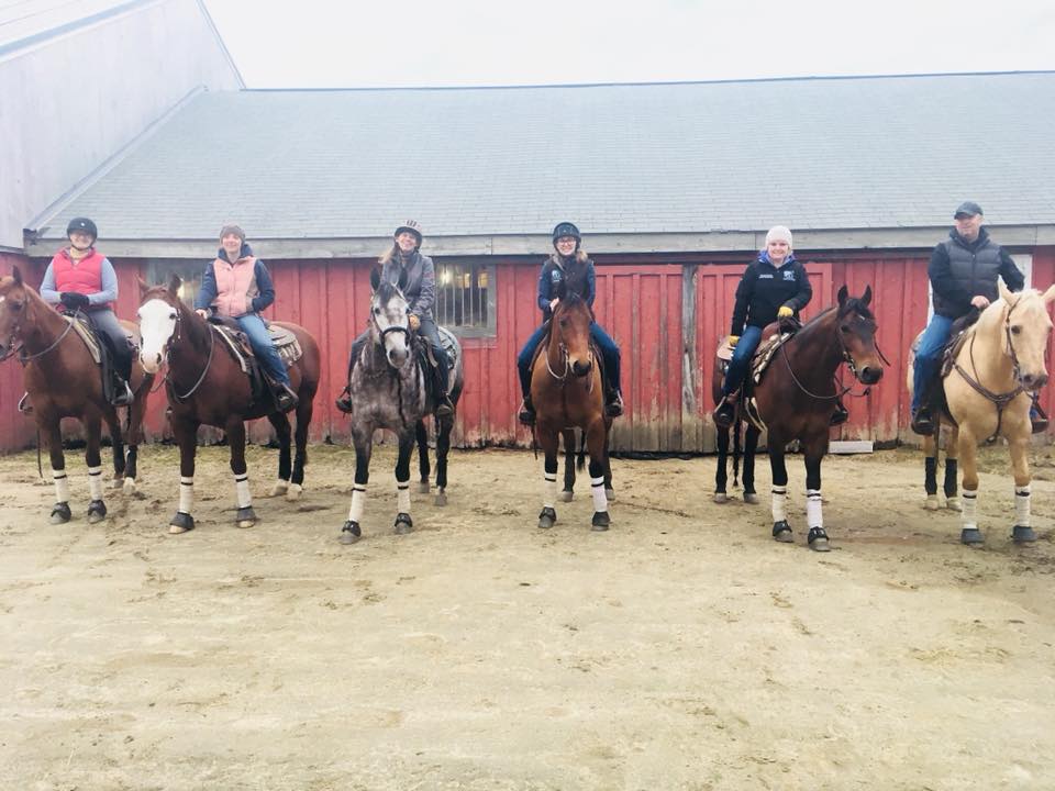 Ride a Reiner | The Academic Equestrian