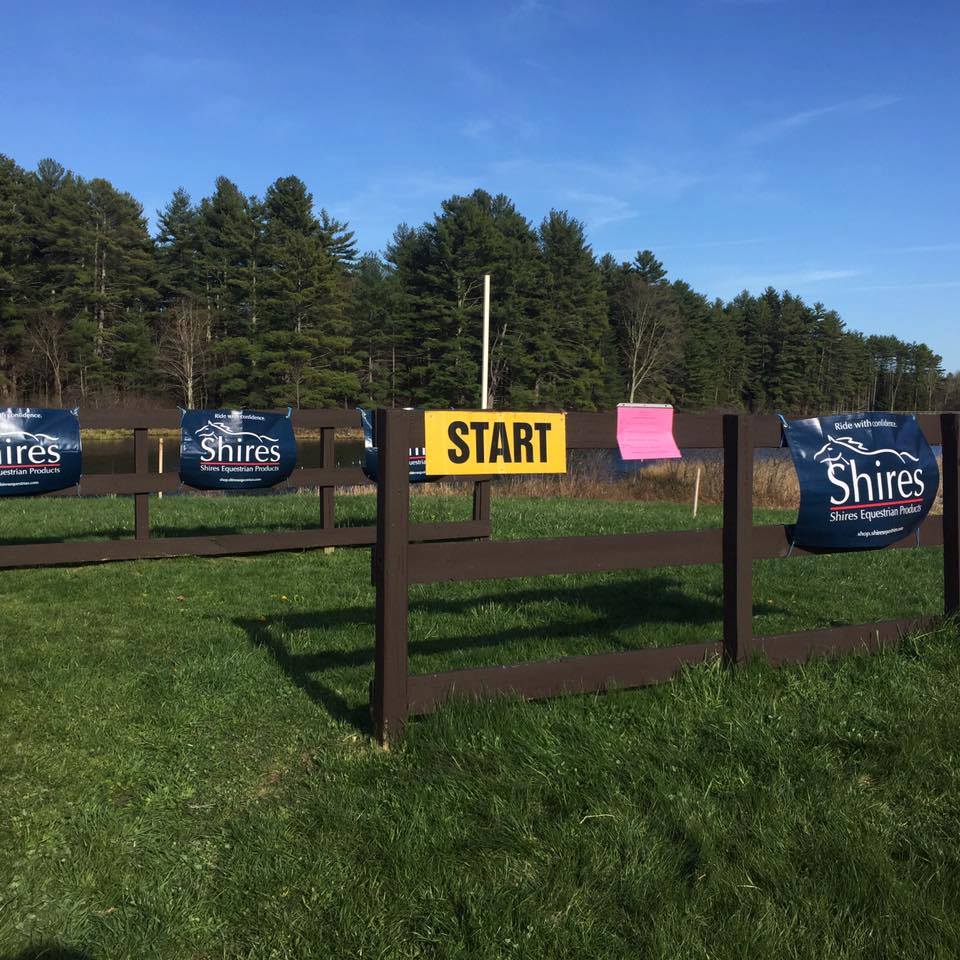 Tales of a Horse Show Organizer—Somewhere in the Middle | The Academic ...