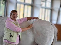 Functional Conformation: a Clinic with Judy Wardrope | The Academic ...